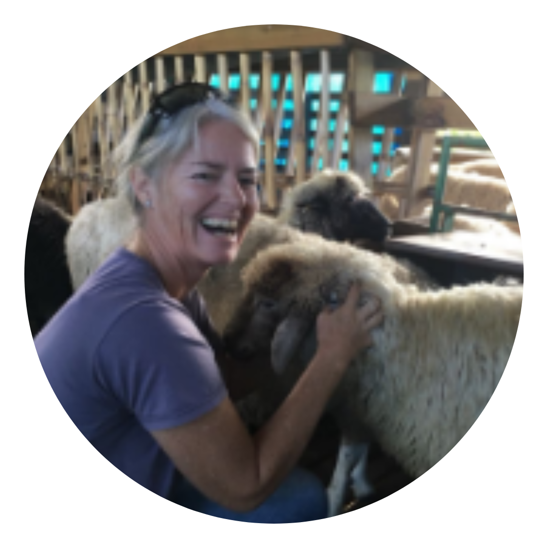 Schedule – HRI Greece 2025